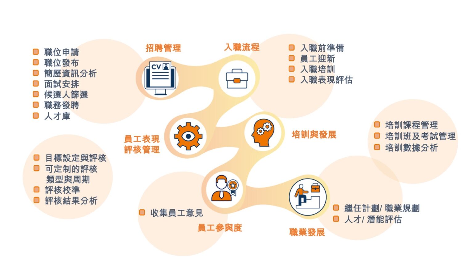 產品介紹 - PI HCM